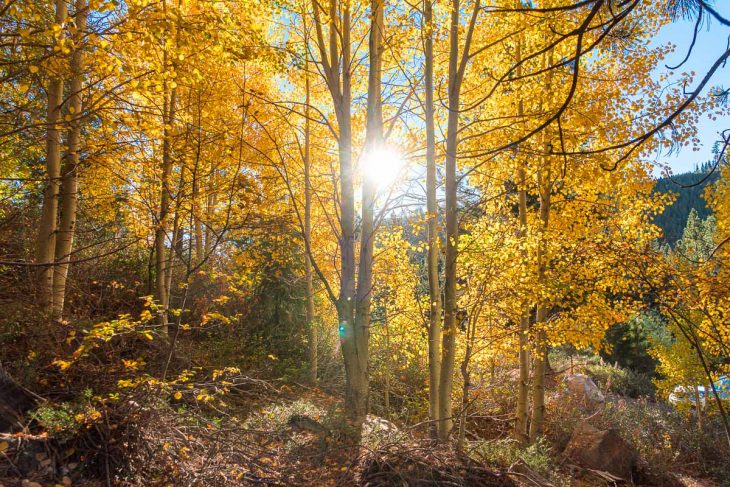 How To Layer For Fall Hiking to Stay Cozy and Safe on the Trail - Fresh ...