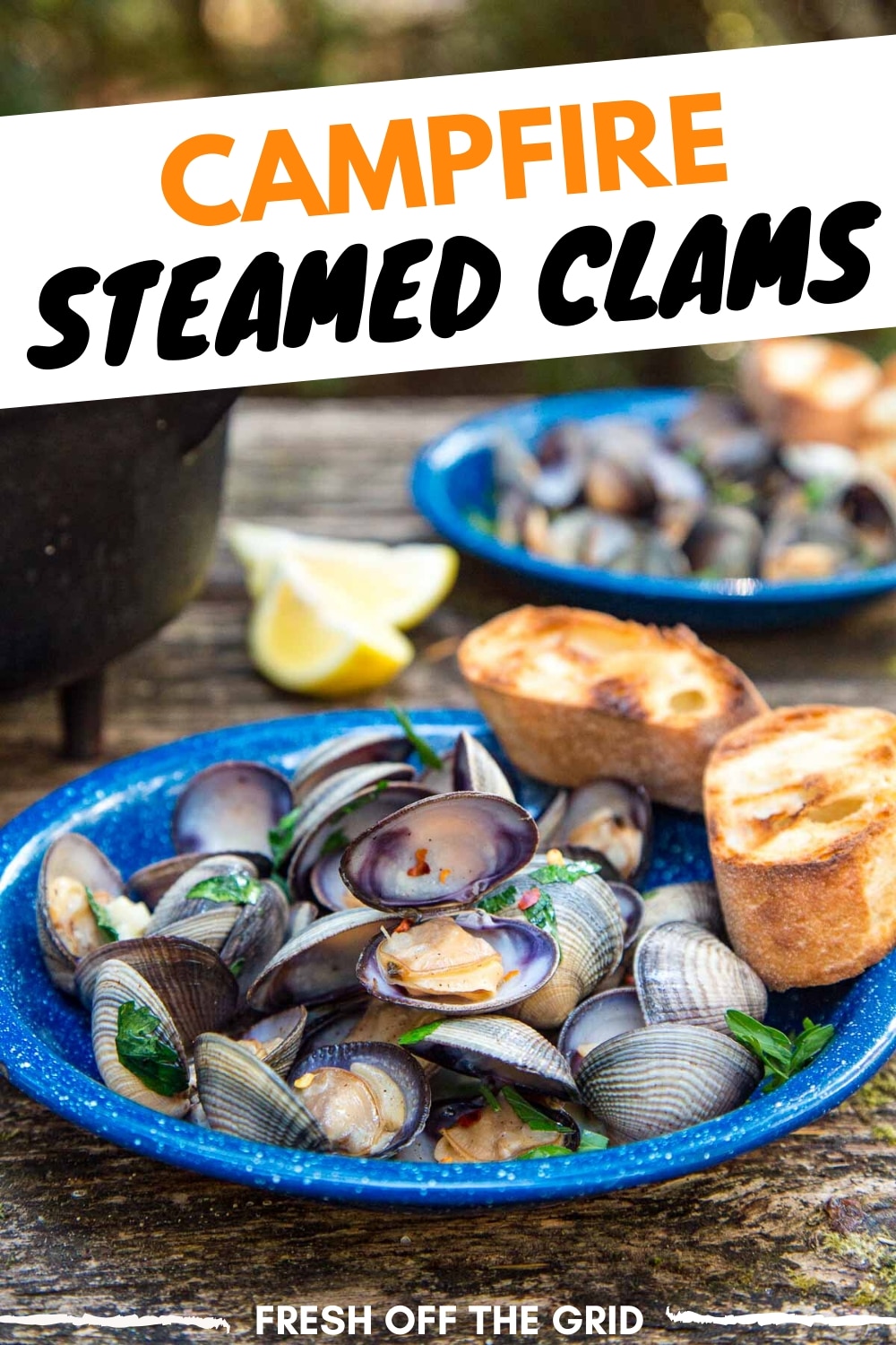 Campfire Steamed Clams - Fresh Off The Grid