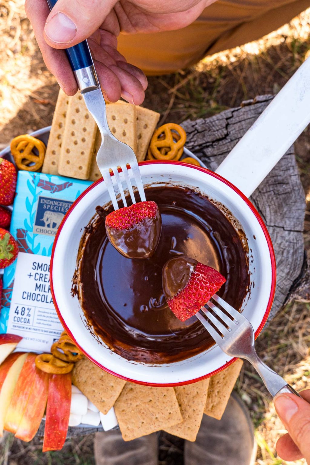 Chocolate Fondue - Fresh Off The Grid