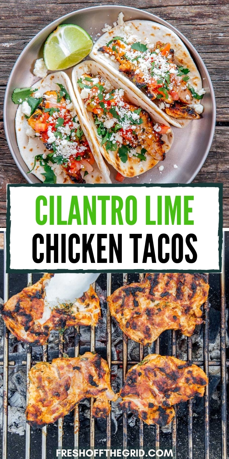 Cilantro Lime Grilled Chicken Tacos - Fresh Off The Grid