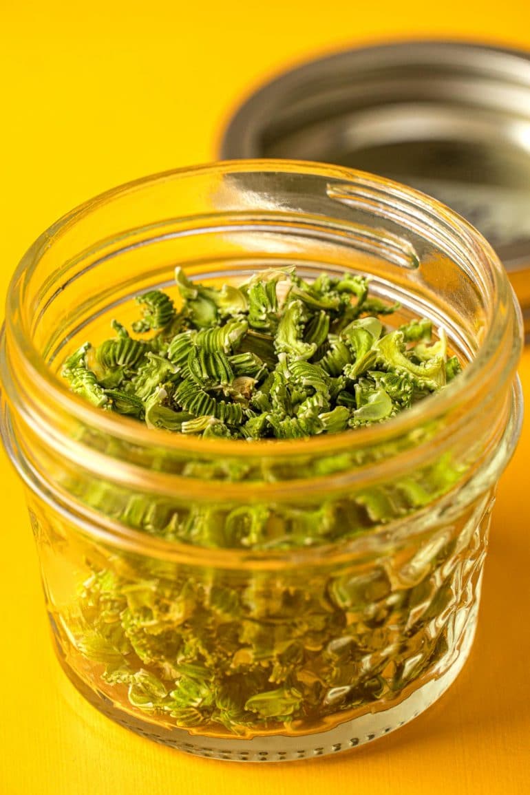 How to Dehydrate Celery - Fresh Off The Grid