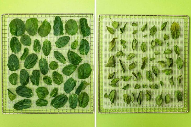 How to Dehydrate Spinach - Fresh Off The Grid