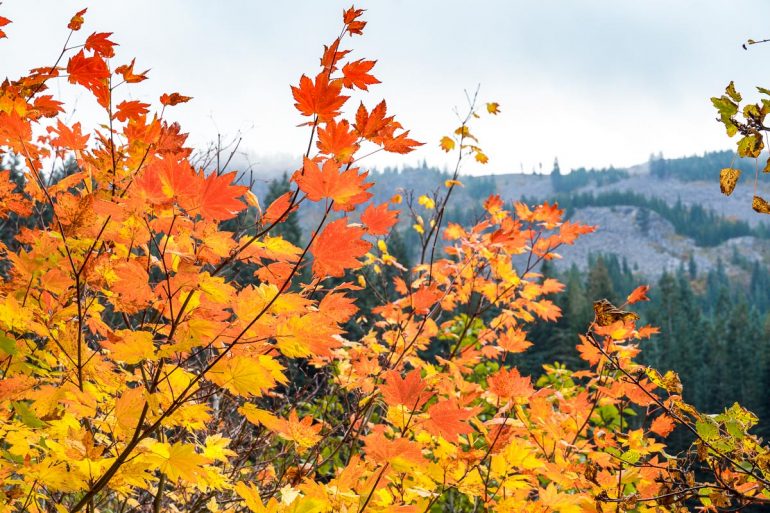 How To Layer For Fall Hiking to Stay Cozy and Safe on the Trail - Fresh ...