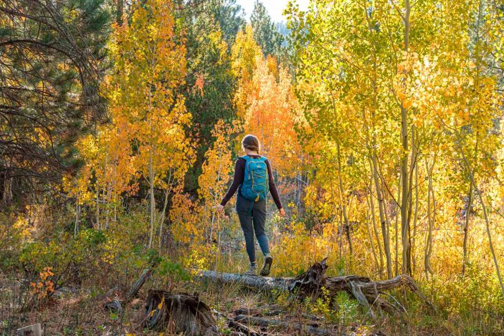 How To Layer For Fall Hiking to Stay Cozy and Safe on the Trail - Fresh ...