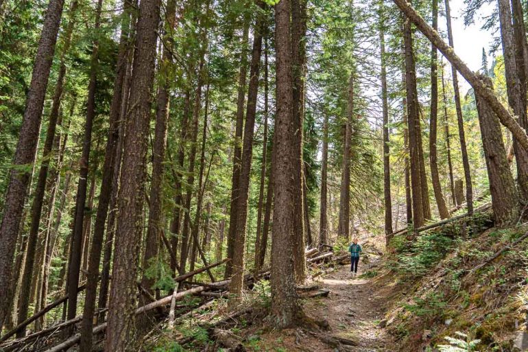 The 10 Hiking Essentials You Need to Safely Hit the Trail - Fresh Off ...