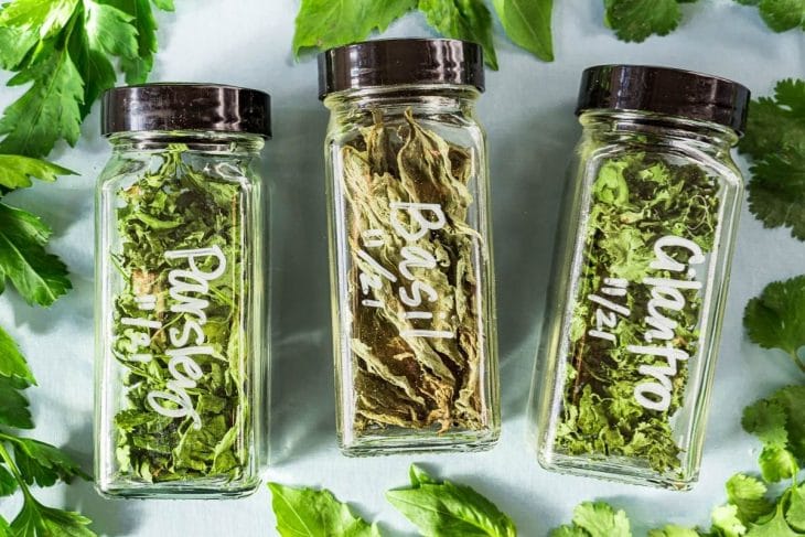 How to Dry Herbs - Fresh Off The Grid