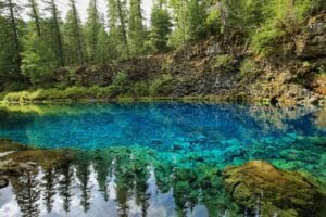 8 Things to Know Before Exploring the Tamolitch Blue Pool - Fresh Off ...