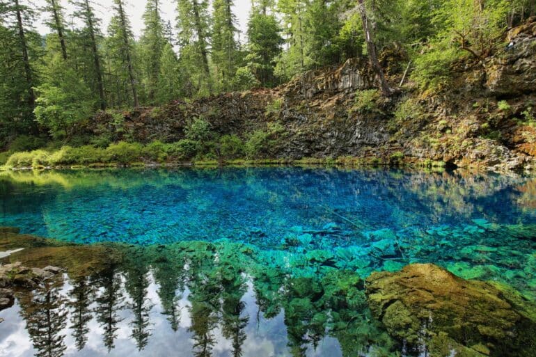 8 Things to Know Before Exploring the Tamolitch Blue Pool - Fresh Off ...