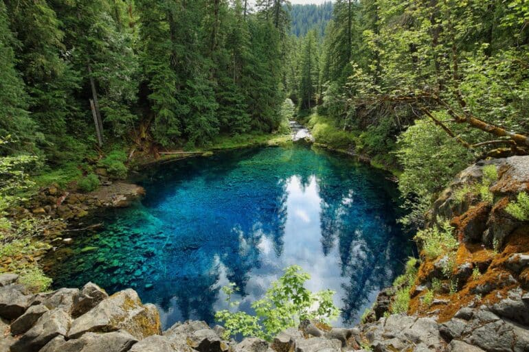 8 Things to Know Before Exploring the Tamolitch Blue Pool - Fresh Off ...
