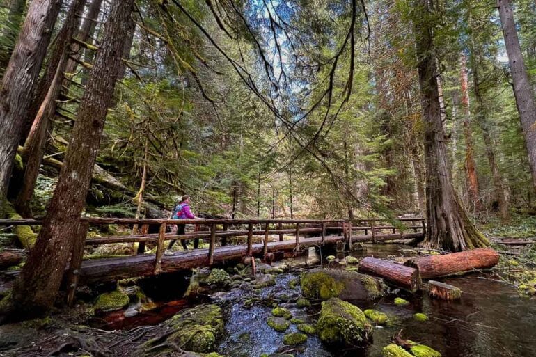 8 Things to Know Before Exploring the Tamolitch Blue Pool - Fresh Off ...