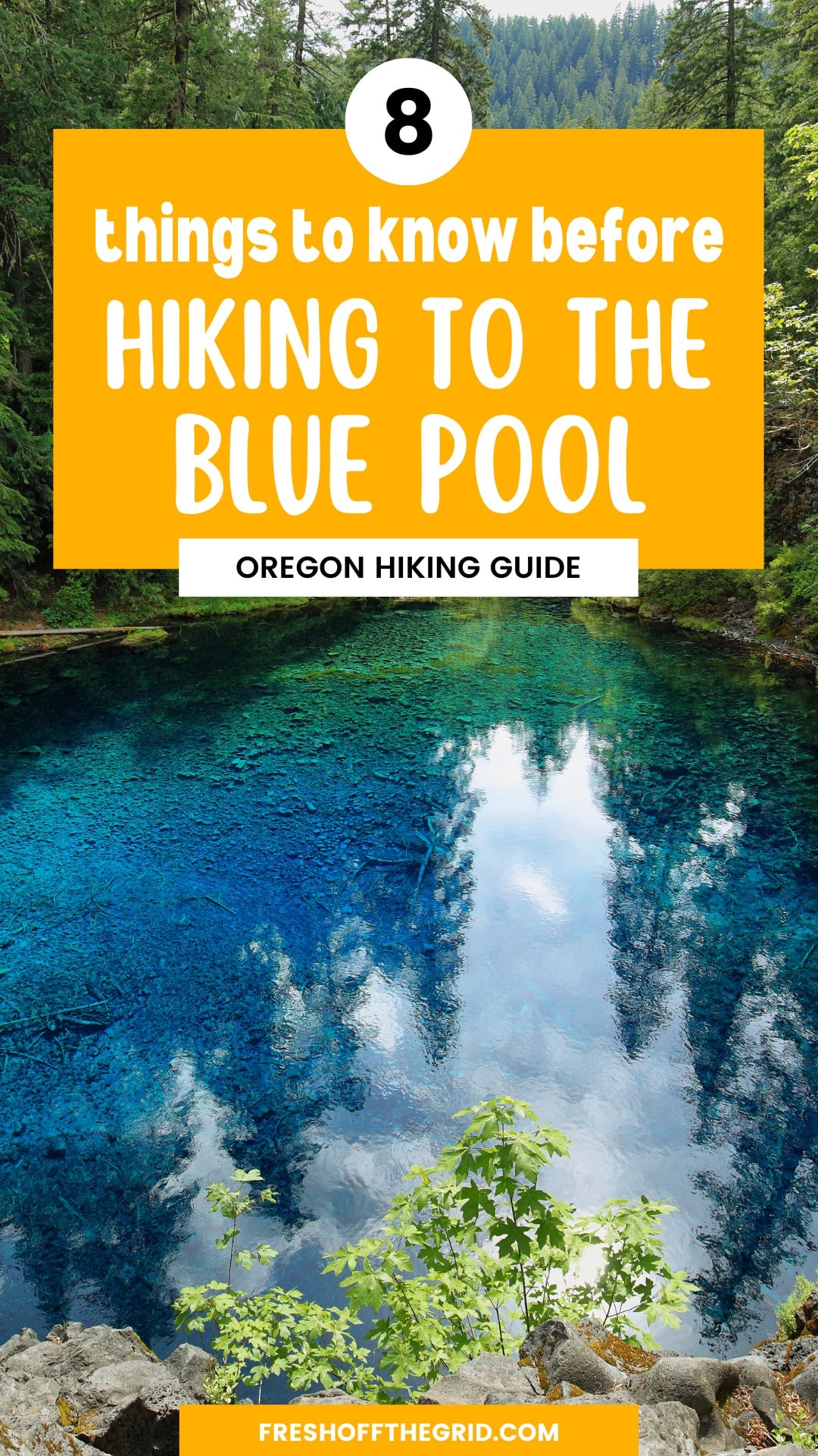 8 Things to Know Before Exploring the Tamolitch Blue Pool - Fresh Off ...