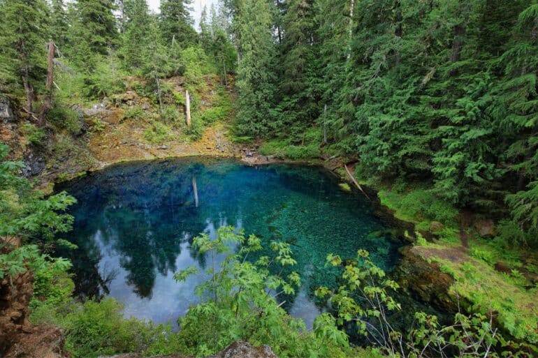 8 Things to Know Before Exploring the Tamolitch Blue Pool - Fresh Off ...