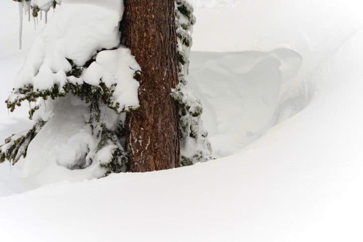 Winter Hiking 101: Everything you need to know about hiking in snow ...